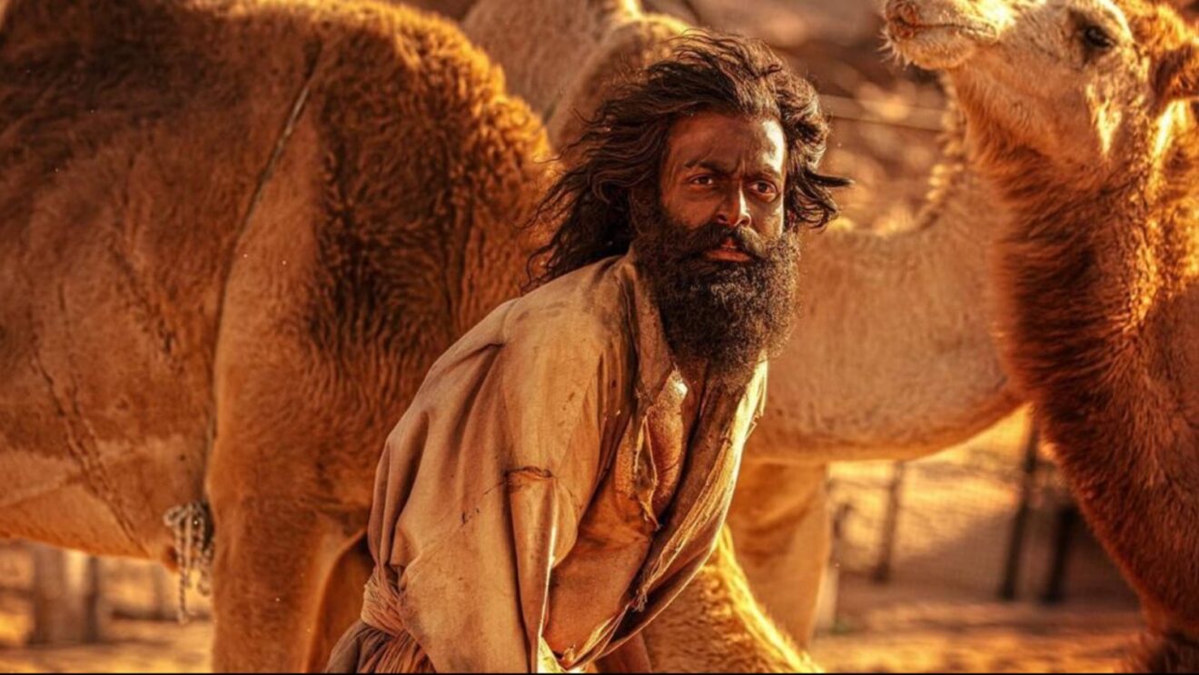 Watching Aadujeevitham Amid Times of Conflict: A Desolate Tale of Many ...